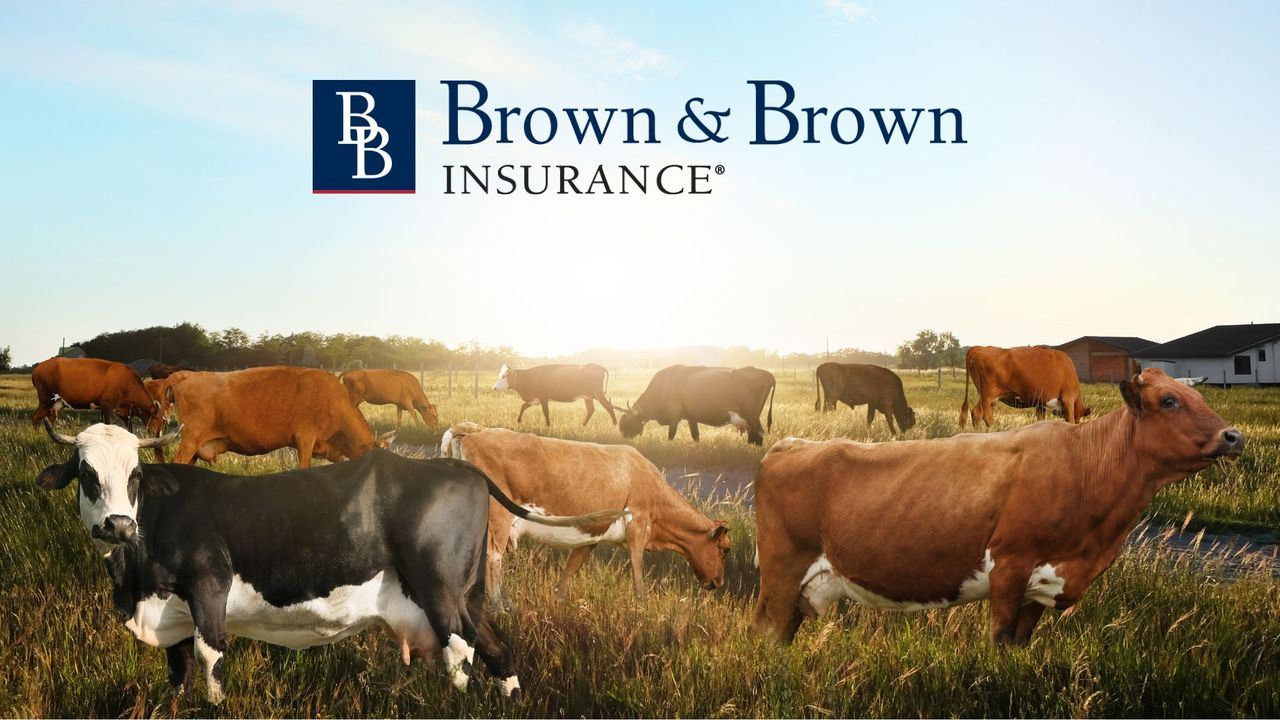 Brown & Brown goes to the farm with UK broker deal | Intelligent Insurer